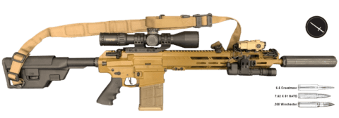 CSASS - SWORD Defense